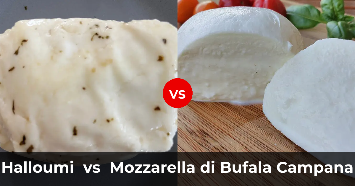 Halloumi vs Mozzarella di Bufala Campana: What's the Difference ...