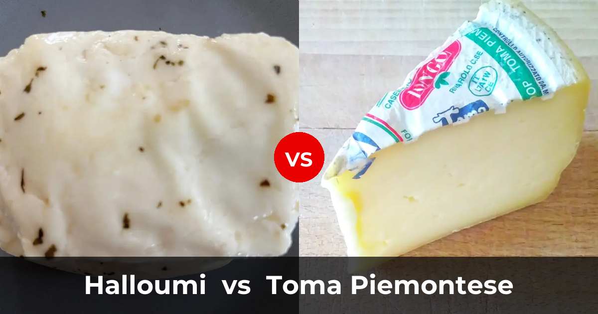 Halloumi Cheese vs Toma Piemontese Cheese: What's the Difference ...