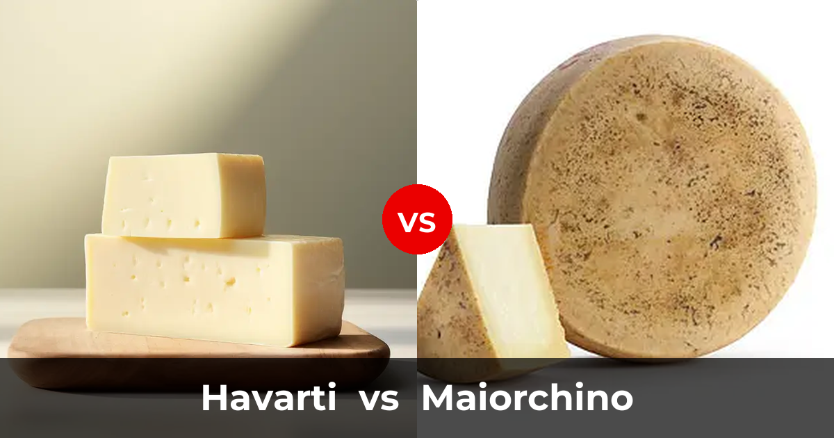Havarti vs Maiorchino: What's the Difference? - AnyCheese
