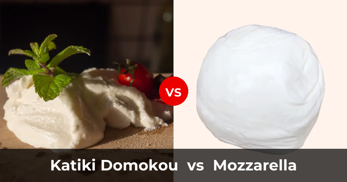 Katiki Domokou Cheese vs Mozzarella Cheese: What's the Difference ...
