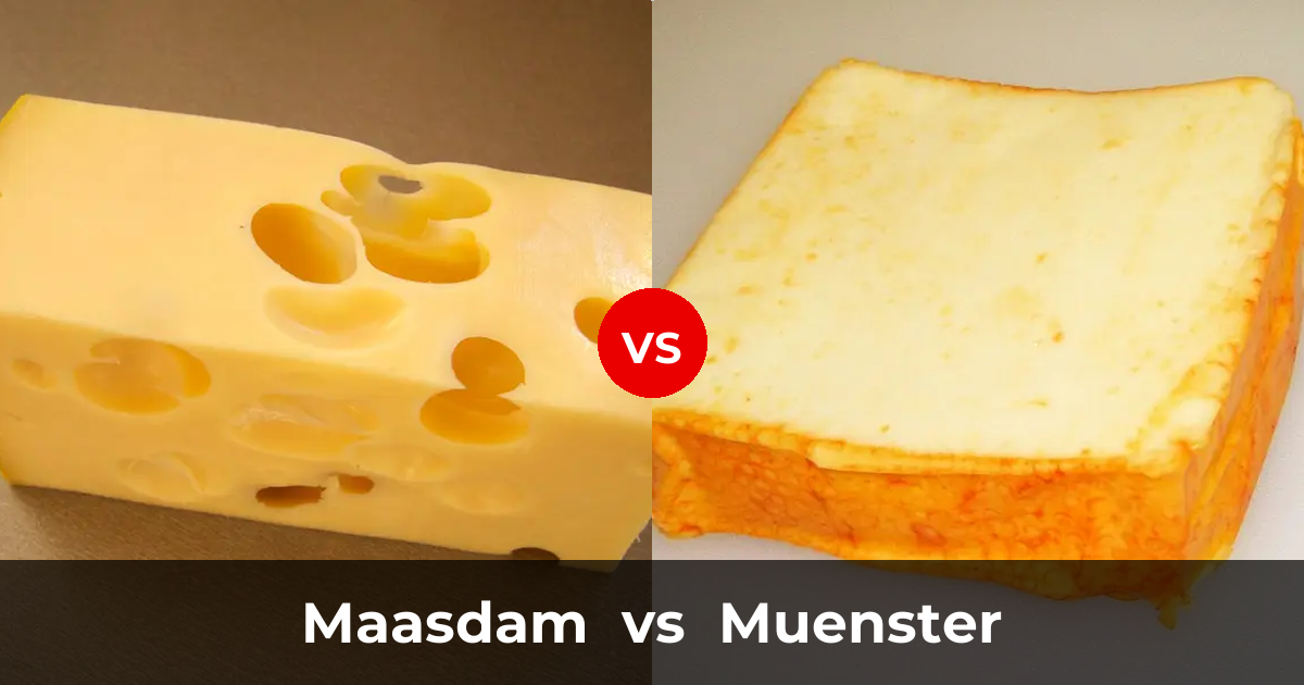 Maasdam vs Muenster: What's the Difference? - AnyCheese