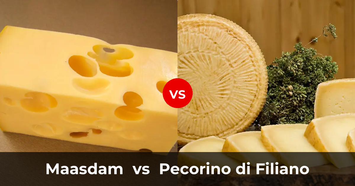 Maasdam Cheese vs Pecorino di Filiano Cheese: What's the Difference ...