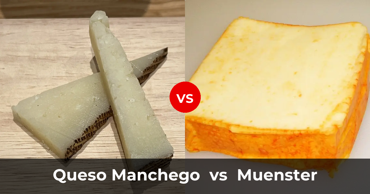 Queso Manchego vs Muenster Cheese: What's the Difference? | Taste ...