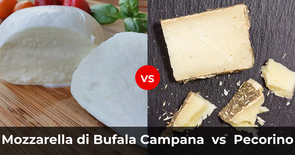 Mozzarella di Bufala Campana Cheese vs Pecorino Cheese: What's the ...
