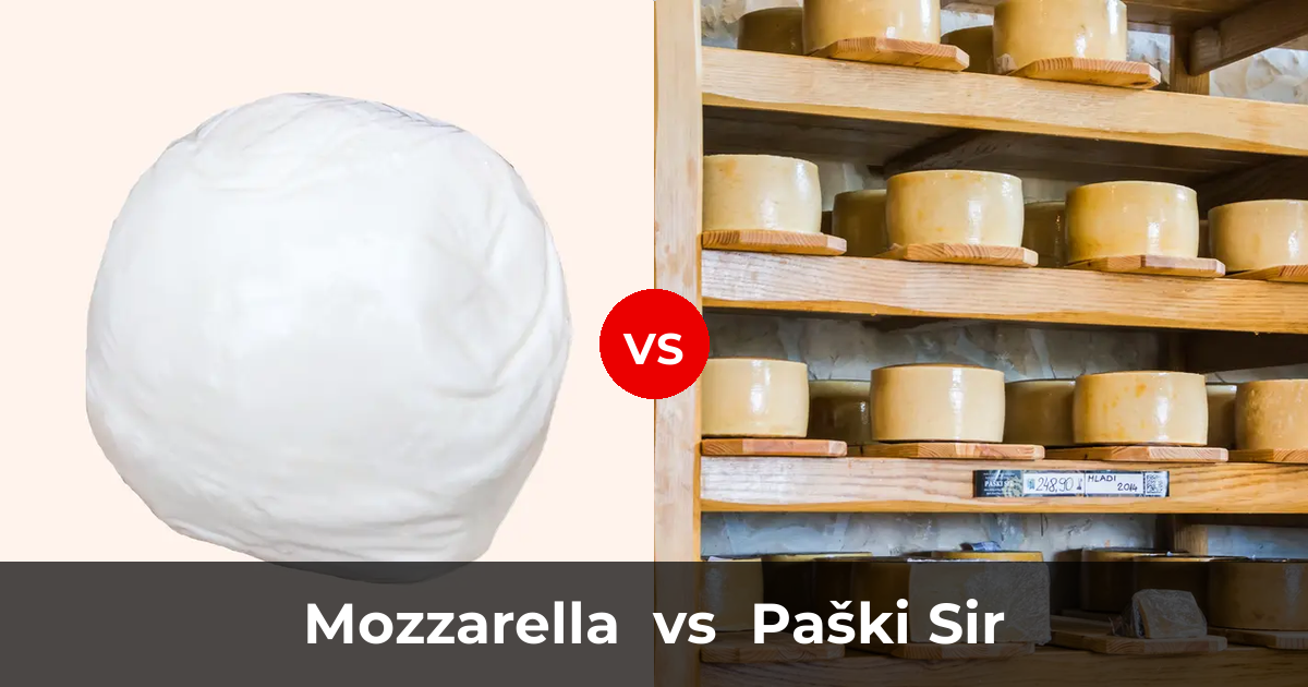 Mozzarella Cheese vs Paški Sir Cheese: What's the Difference? | Taste ...