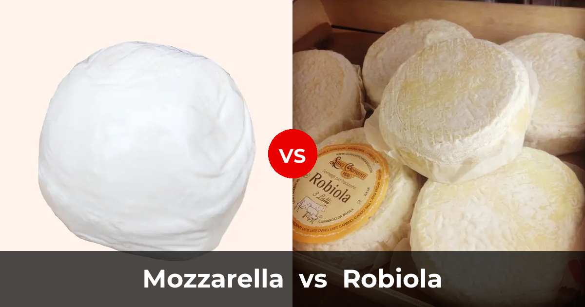 Mozzarella vs Robiola: What's the Difference? - AnyCheese