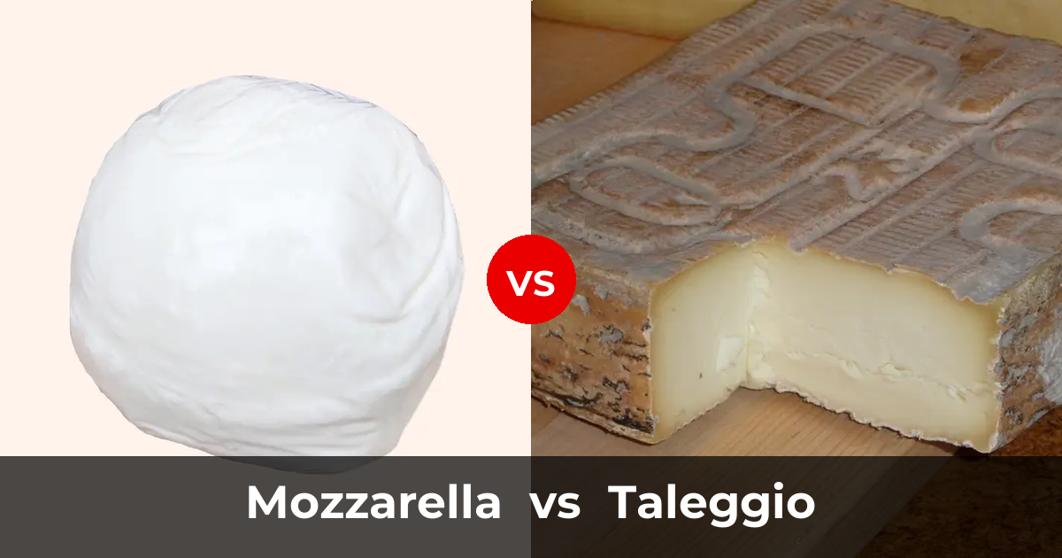 Mozzarella Cheese vs Taleggio Cheese: What's the Difference? | Taste ...