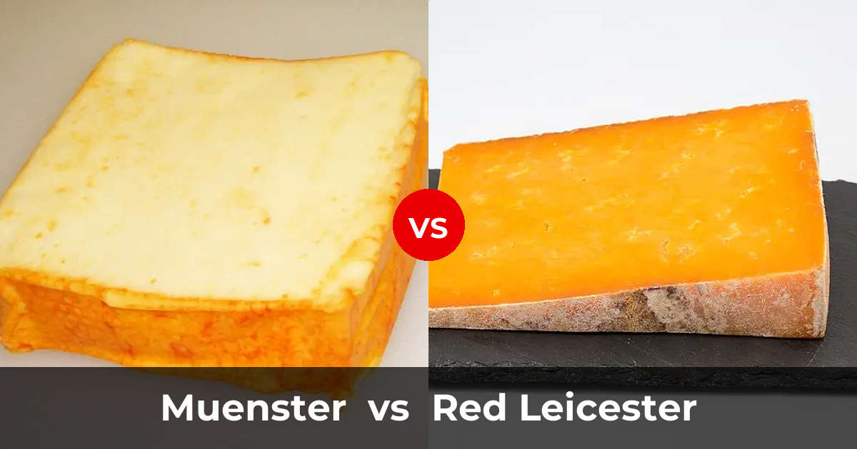 Muenster Cheese vs Red Leicester Cheese: What's the Difference? | Taste ...