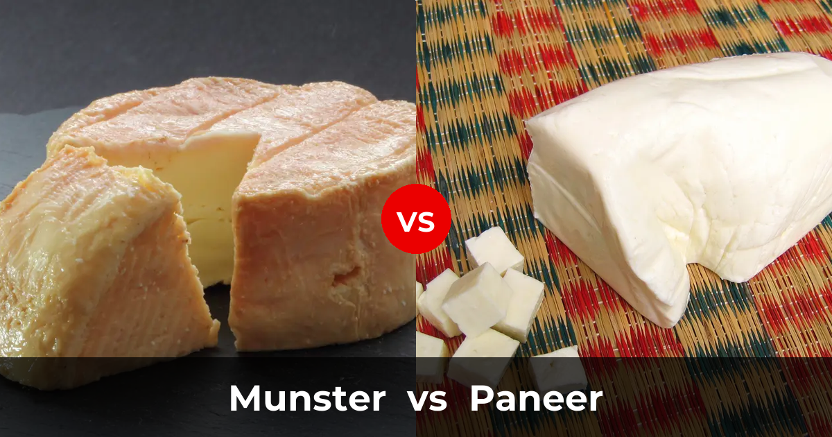 Munster Cheese vs Paneer Cheese: What's the Difference? | Taste ...