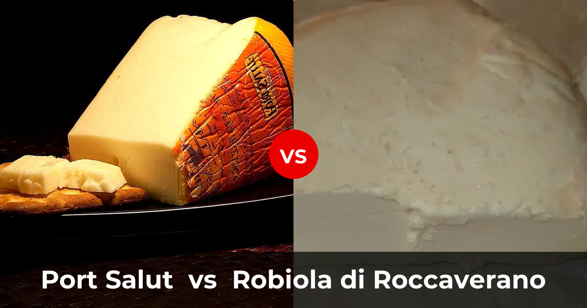 Port Salut Cheese vs Robiola di Roccaverano Cheese: What's the ...