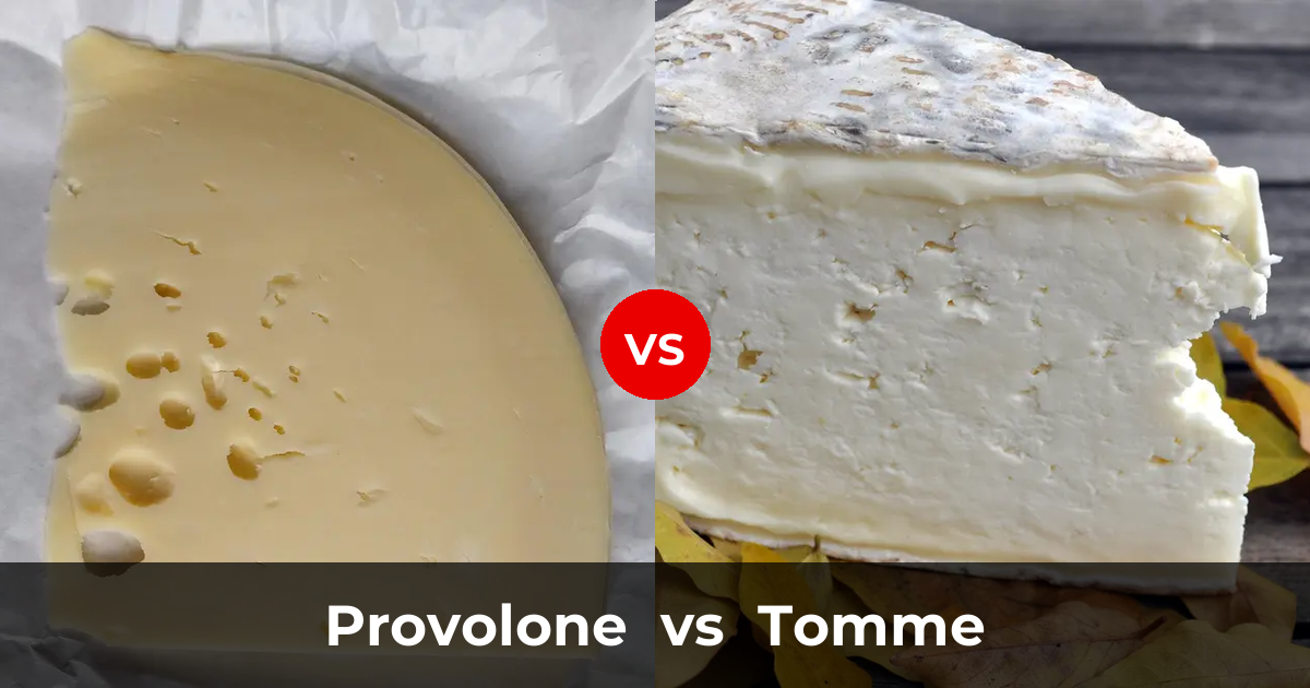 Provolone vs Tomme: What's the Difference? - AnyCheese