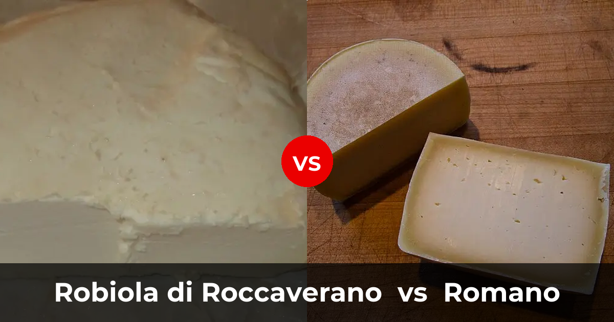 Robiola di Roccaverano Cheese vs Romano Cheese: What's the Difference ...