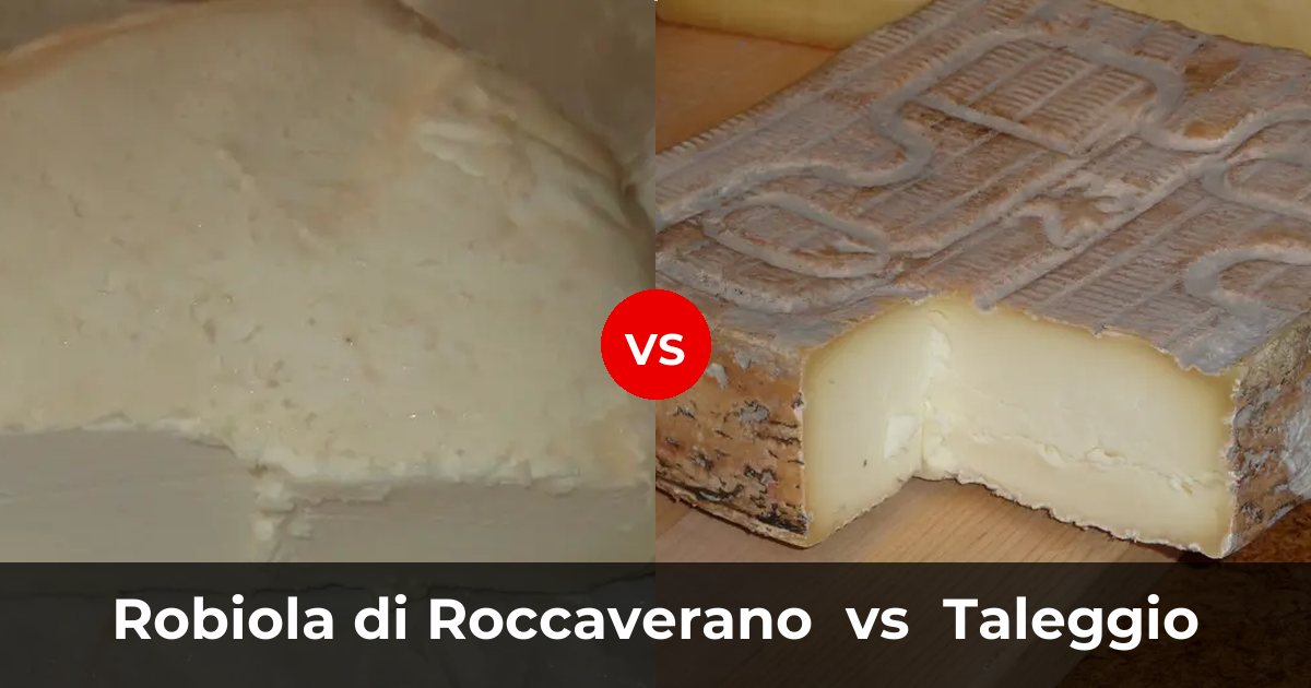 Robiola di Roccaverano Cheese vs Taleggio Cheese: What's the Difference ...