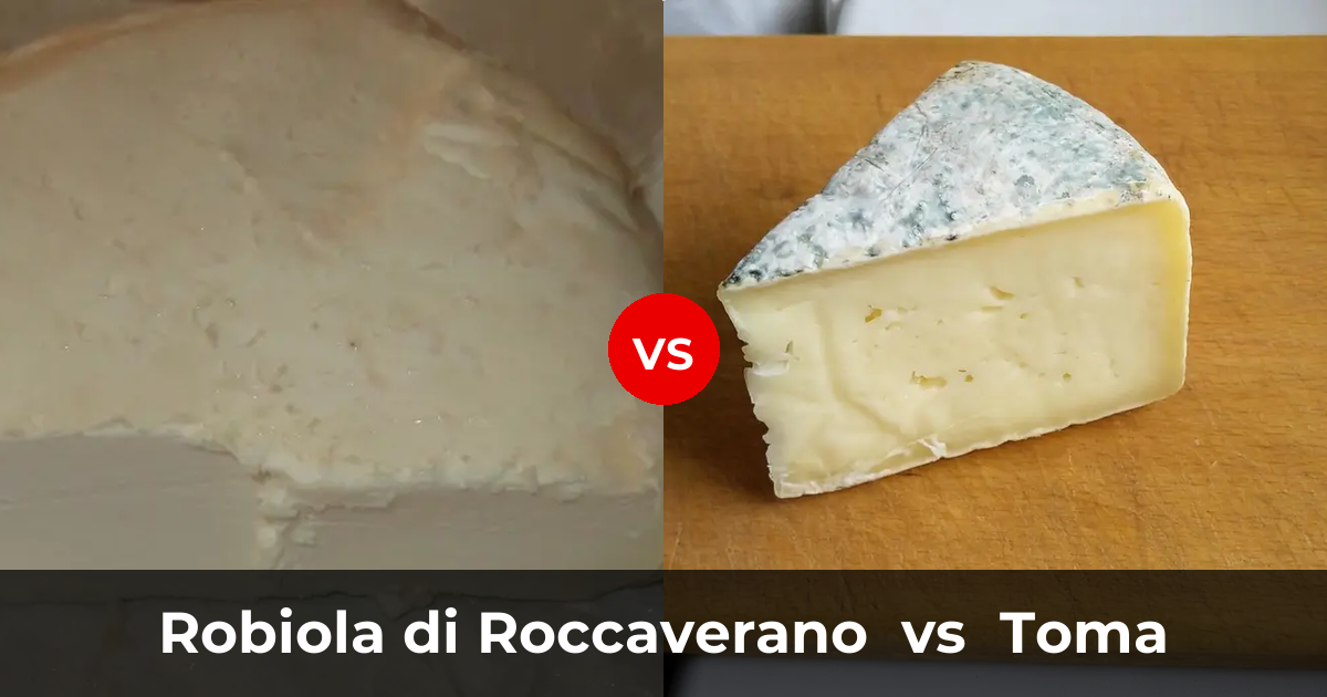Robiola di Roccaverano Cheese vs Toma Cheese: What's the Difference ...