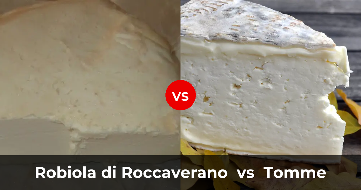Robiola di Roccaverano vs Tomme: What's the Difference? - AnyCheese
