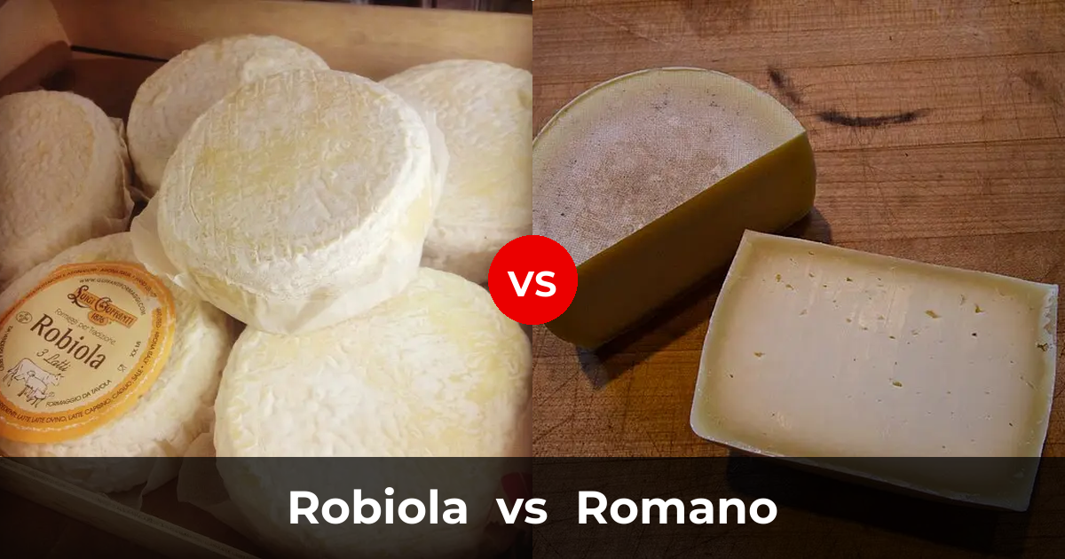 Robiola vs Romano: What's the Difference? - AnyCheese