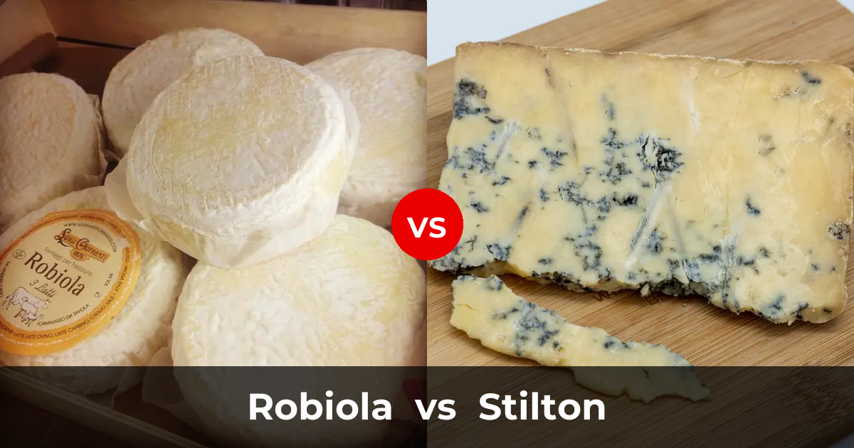 Robiola vs Stilton: What's the Difference? - AnyCheese
