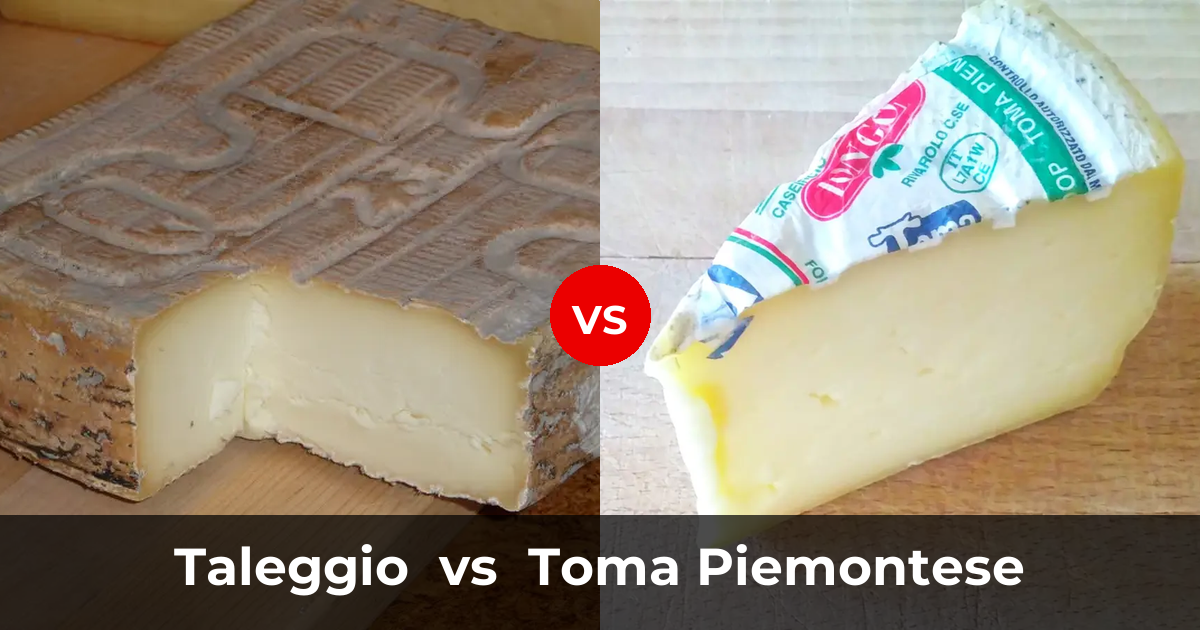 Taleggio Cheese vs Toma Piemontese Cheese: What's the Difference ...