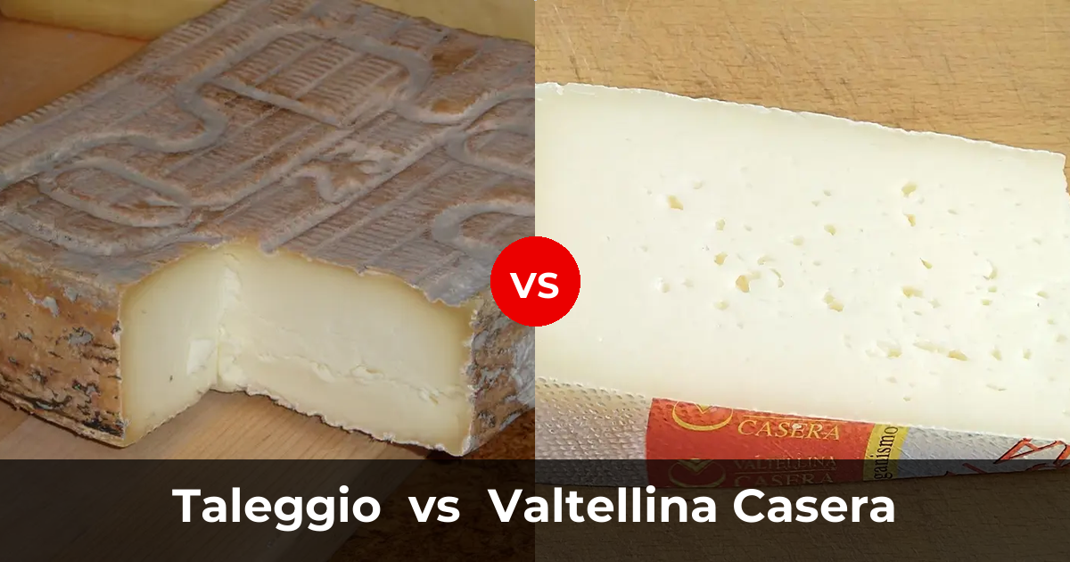 Taleggio Cheese vs Valtellina Casera Cheese: What's the Difference ...