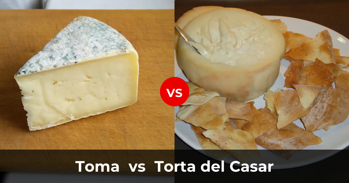 Toma Cheese vs Torta del Casar Cheese: What's the Difference? | Taste ...