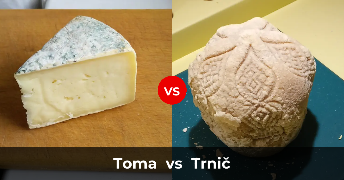 Toma vs Trnič: What's the Difference? - AnyCheese