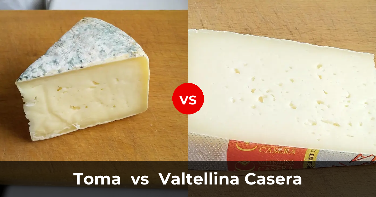 Toma Cheese vs Valtellina Casera Cheese: What's the Difference? | Taste ...