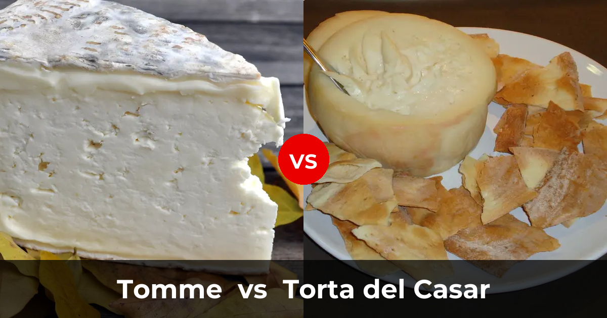 Tomme vs Torta del Casar: What's the Difference? - AnyCheese