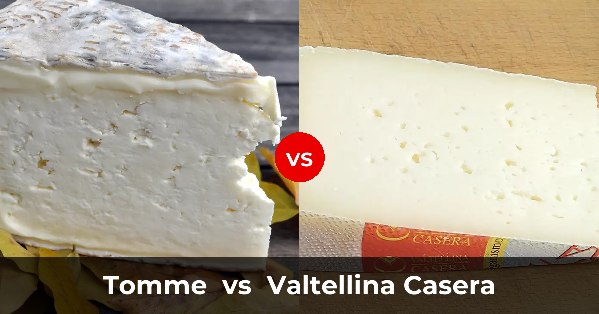 Tomme Cheese vs Valtellina Casera Cheese: What's the Difference ...
