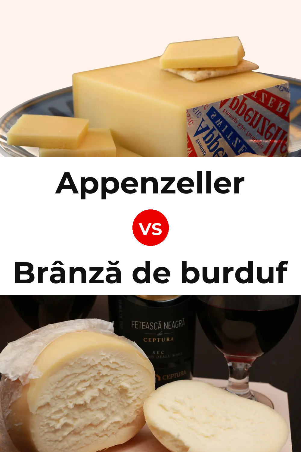 Appenzeller vs Brânză de burduf: What's the Difference? - AnyCheese