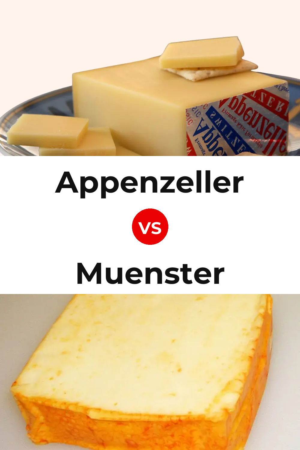 Appenzeller Cheese vs Muenster Cheese: What's the Difference? | Taste ...