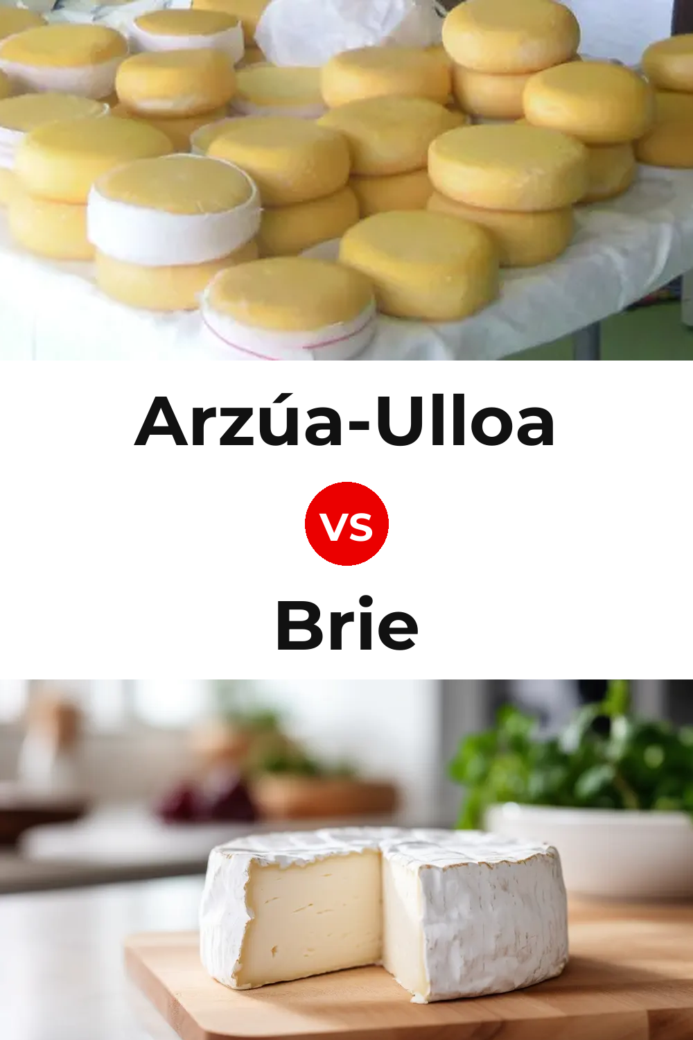 Arzúa-Ulloa Cheese vs Brie Cheese: What's the Difference? | Taste ...