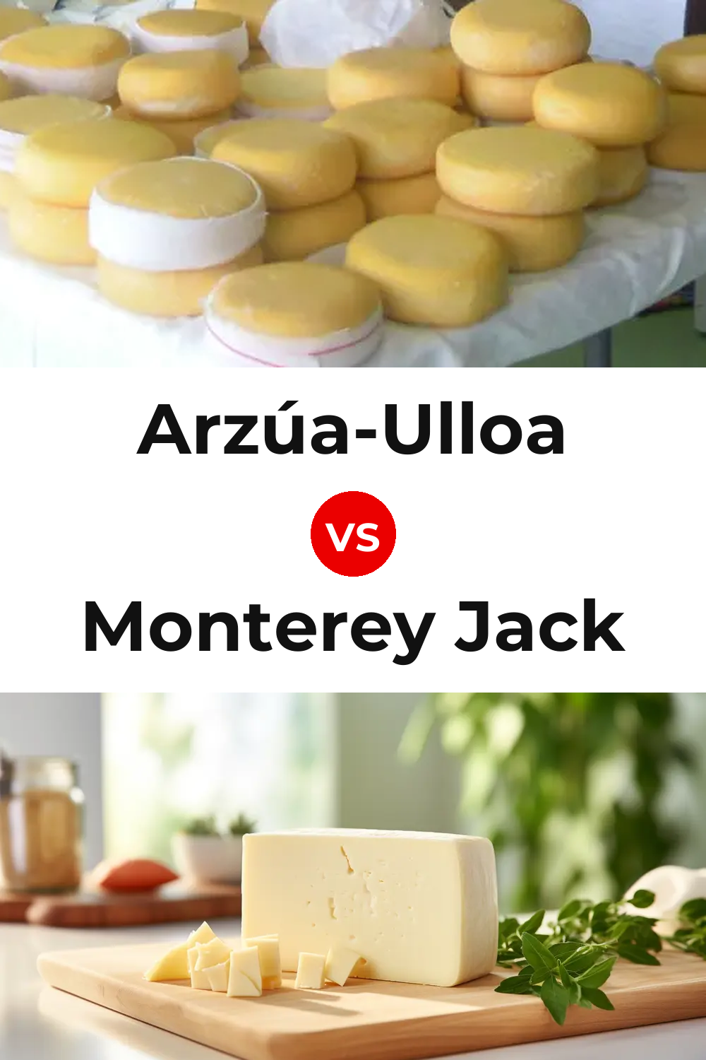 Arzúa-Ulloa vs Monterey Jack: What's the Difference? - AnyCheese