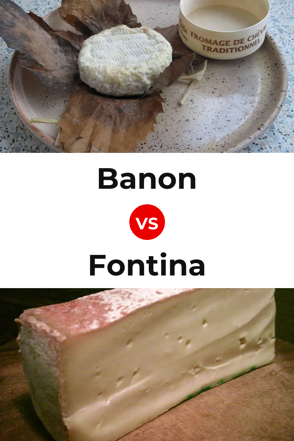 Banon Cheese vs Fontina Cheese: What's the Difference? | Taste, Texture ...