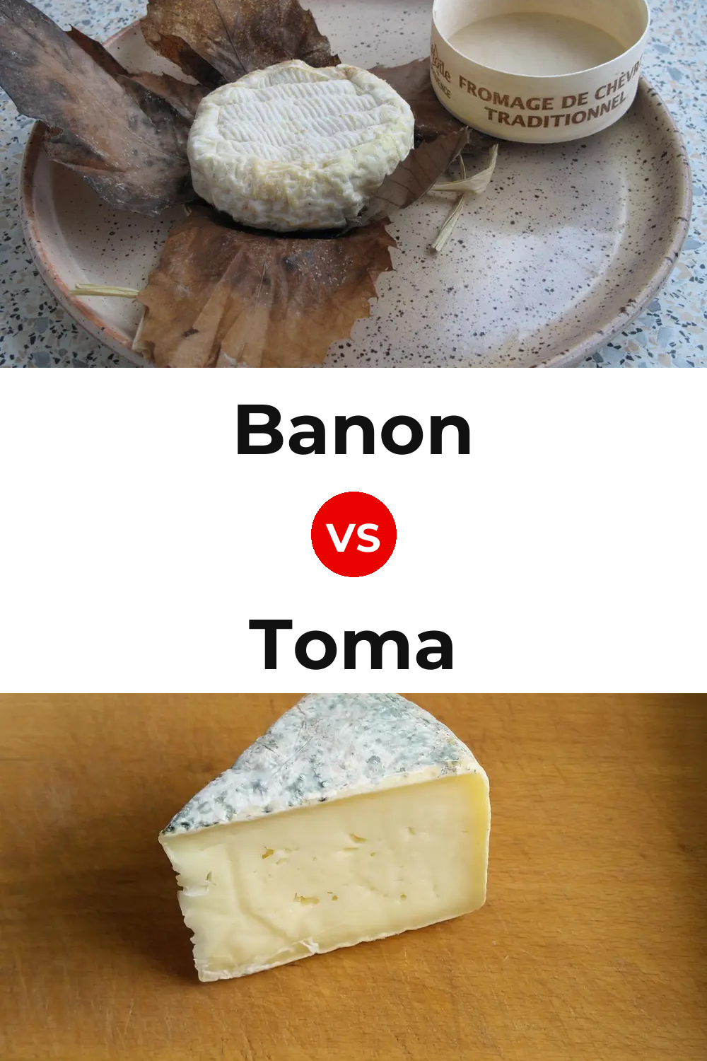 Banon vs Toma: What's the Difference? - AnyCheese