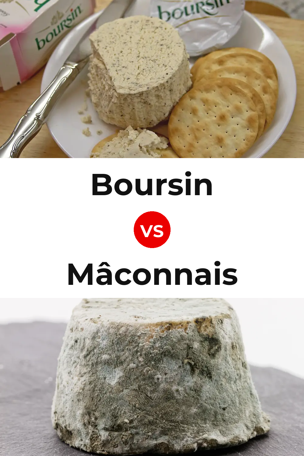 Boursin vs Mâconnais: What's the Difference? - AnyCheese