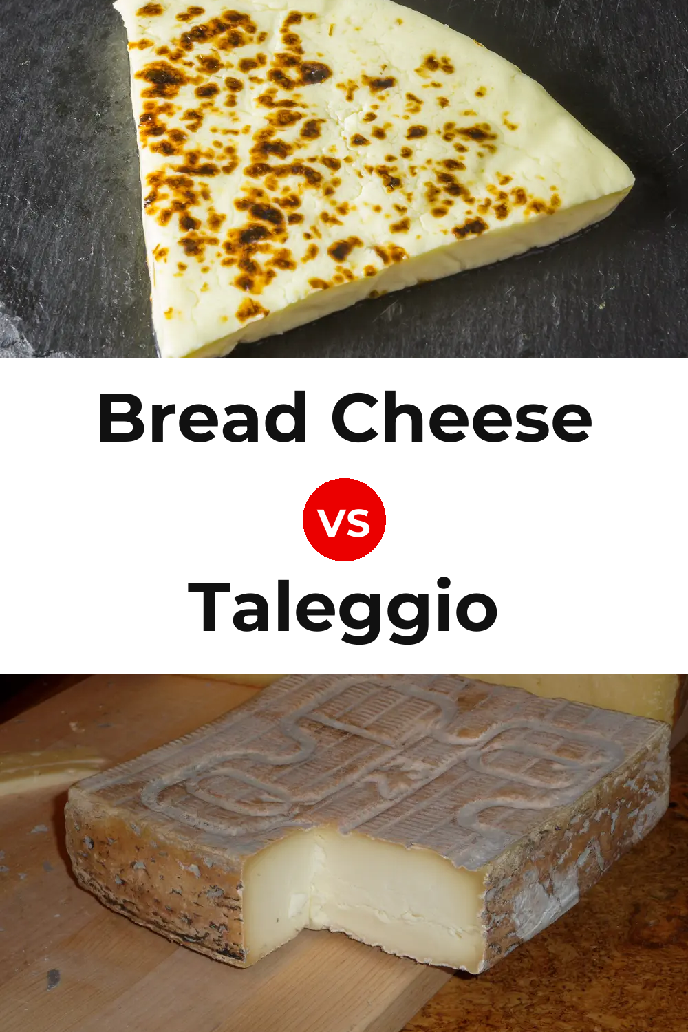 Bread Cheese vs Taleggio: What's the Difference? - AnyCheese
