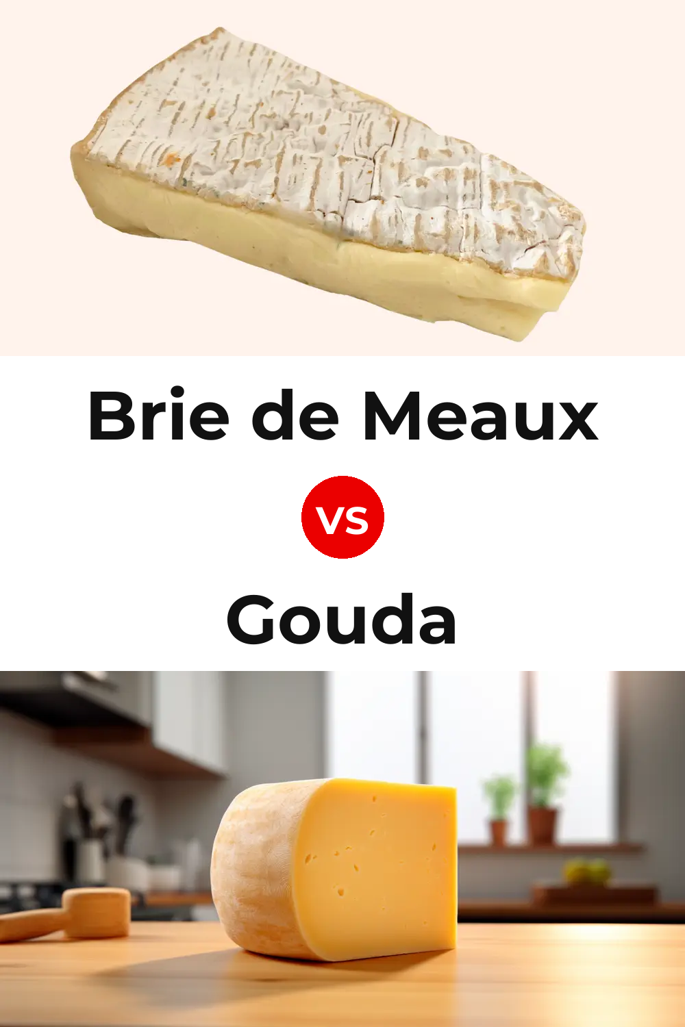 Brie de Meaux vs Gouda: What's the Difference? - AnyCheese