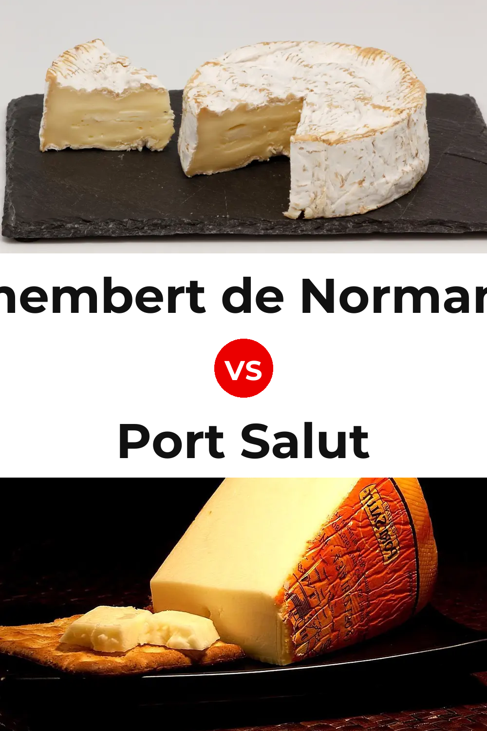Camembert de Normandie vs Port Salut: What's the Difference? - AnyCheese