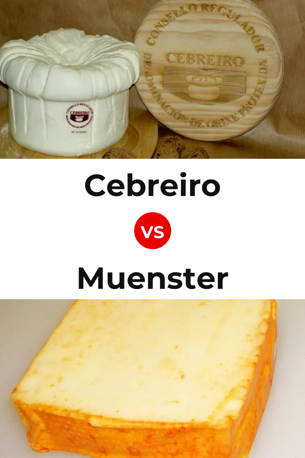 Cebreiro Cheese vs Muenster Cheese: What's the Difference? | Taste ...