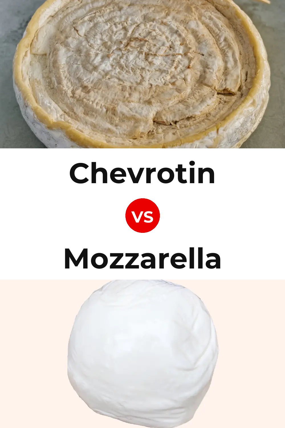 Chevrotin Cheese vs Mozzarella Cheese: What's the Difference? | Taste ...