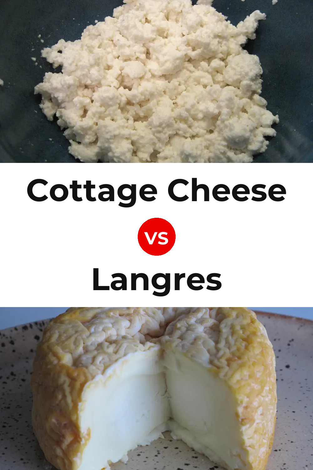 Cottage Cheese vs Langres Cheese: What's the Difference? | Taste ...