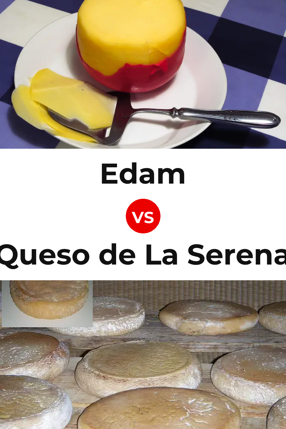 Edam Cheese vs Queso de La Serena: What's the Difference? | Taste ...