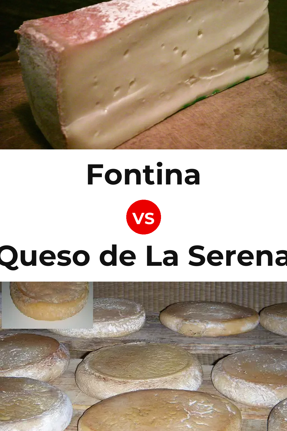 Fontina Cheese vs Queso de La Serena: What's the Difference? | Taste ...
