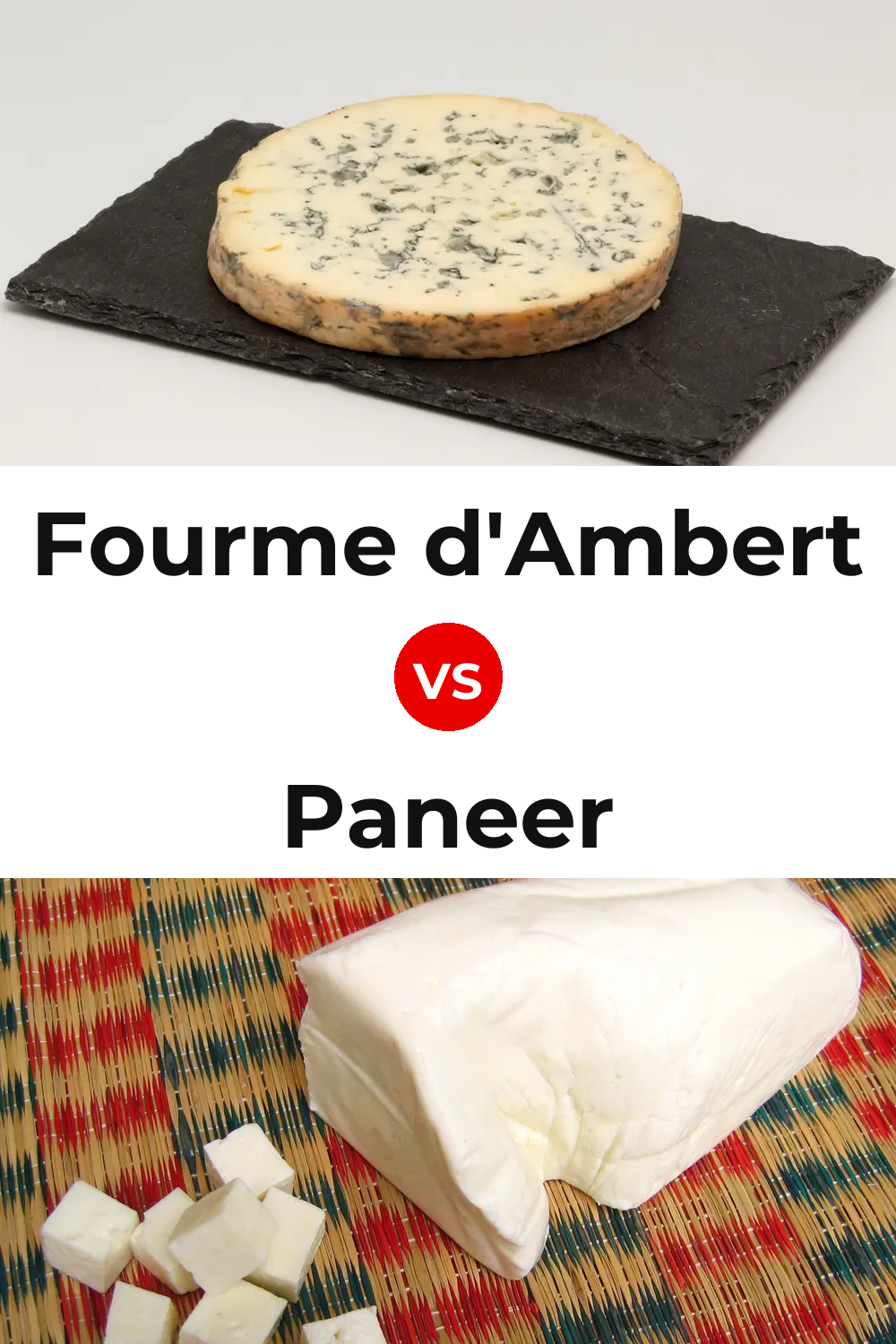 Fourme d'Ambert vs Paneer: What's the Difference? - AnyCheese