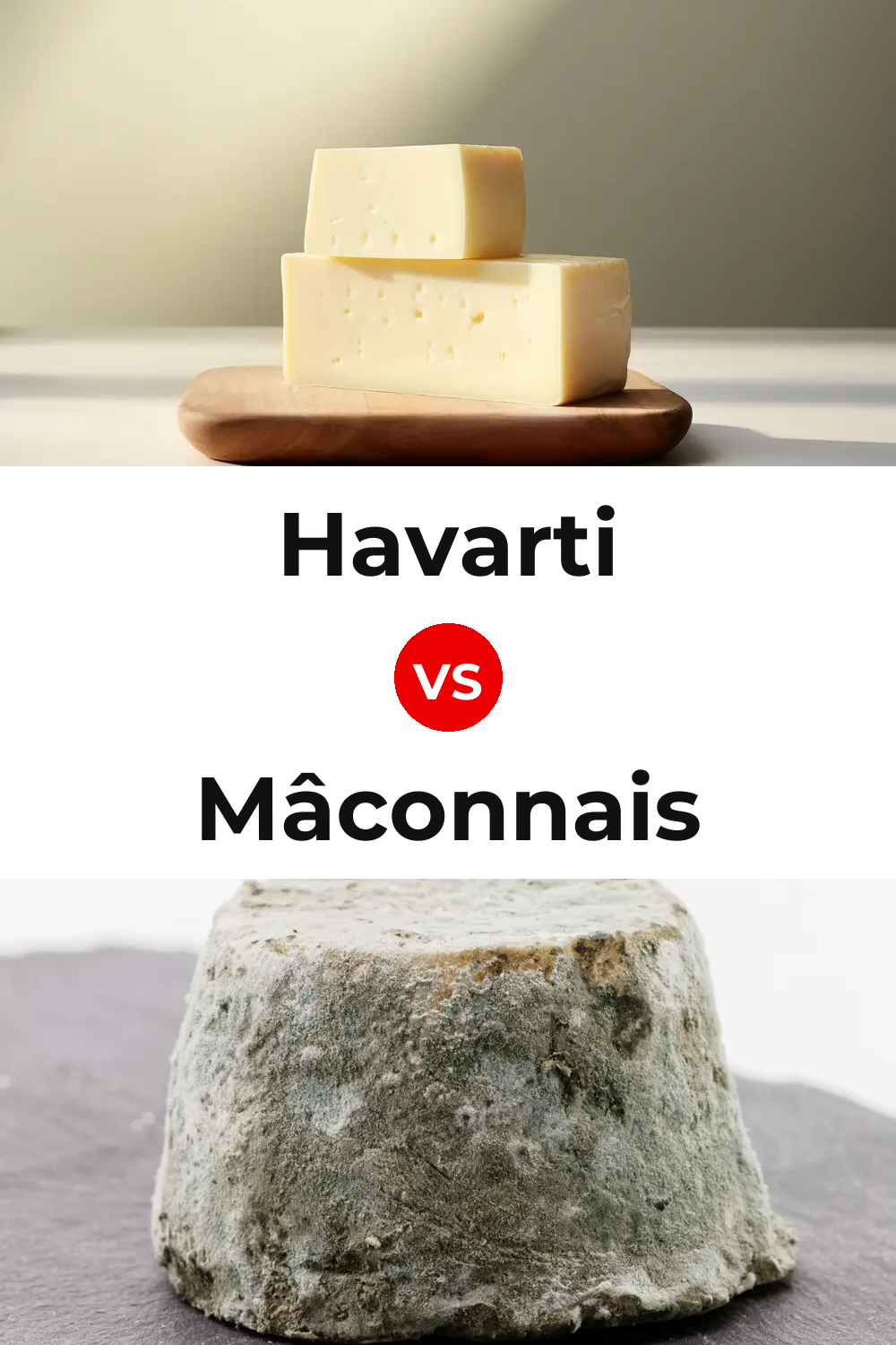 Havarti vs Mâconnais: What's the Difference? - AnyCheese