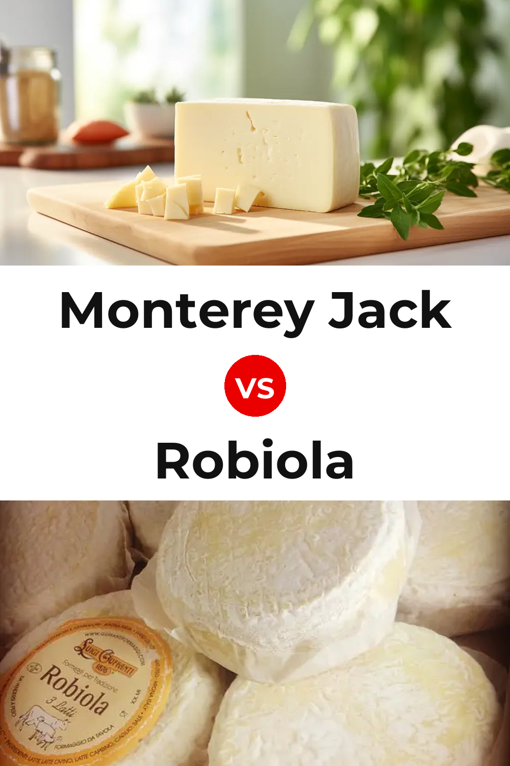 Monterey Jack vs Robiola: What's the Difference? - AnyCheese