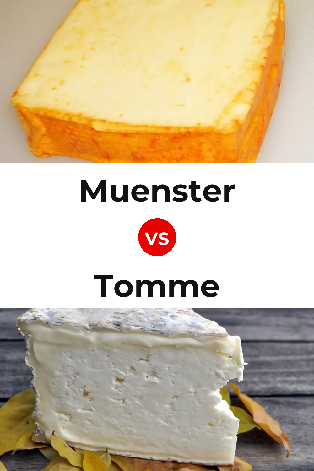 Muenster vs Tomme: What's the Difference? - AnyCheese