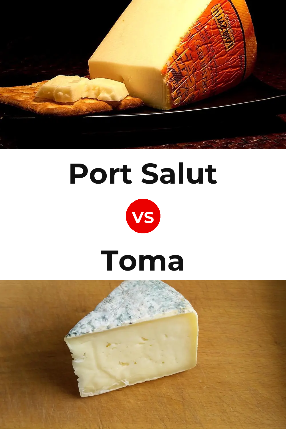 Port Salut Cheese vs Toma Cheese: What's the Difference? | Taste ...