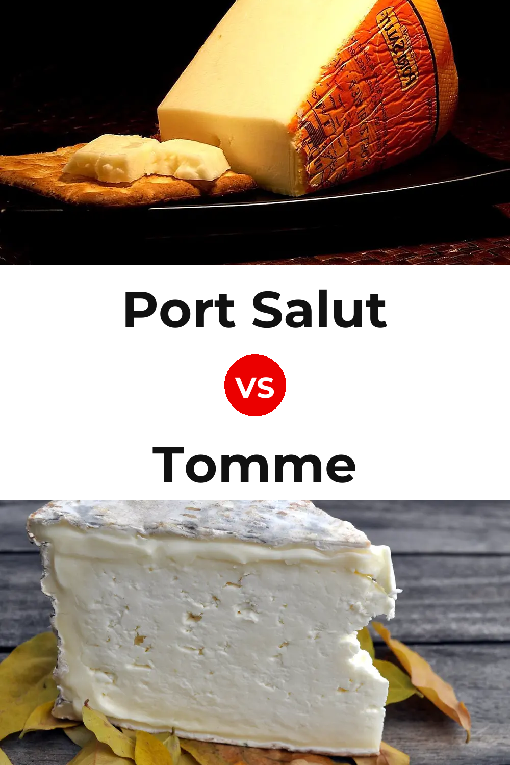 Port Salut Cheese vs Tomme Cheese: What's the Difference? | Taste ...