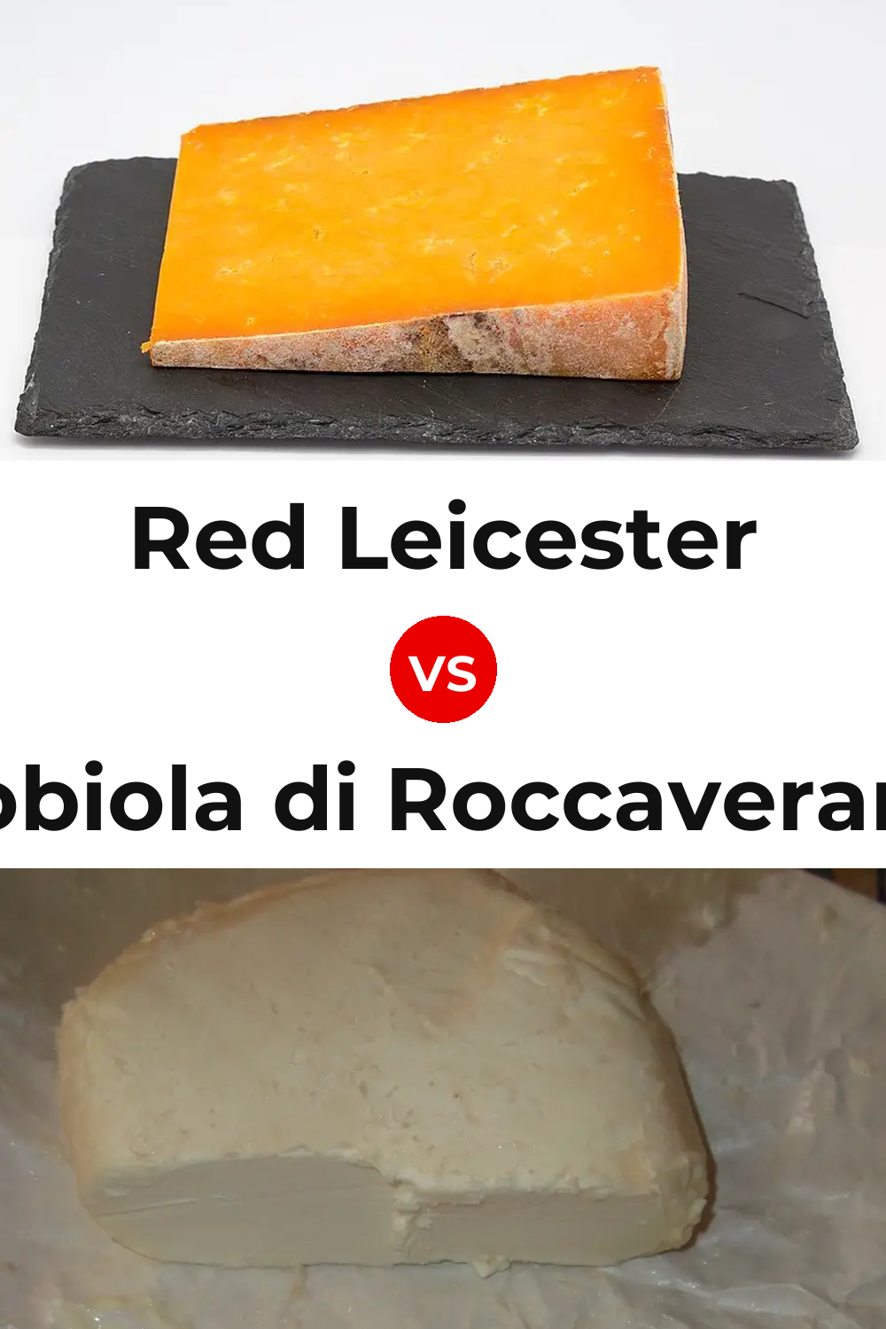 Red Leicester vs Robiola di Roccaverano: What's the Difference? - AnyCheese